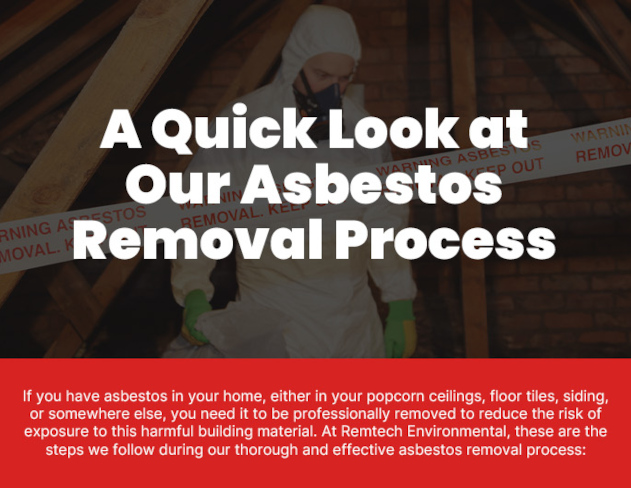 A Quick Look at Our Asbestos Removal Process [infographic] | Remtech ...