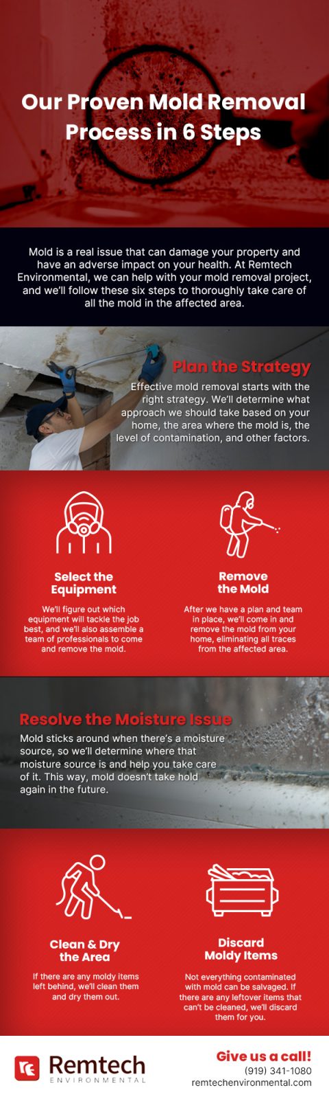Our Proven Mold Removal Process in 6 Steps [infographic] | Remtech ...