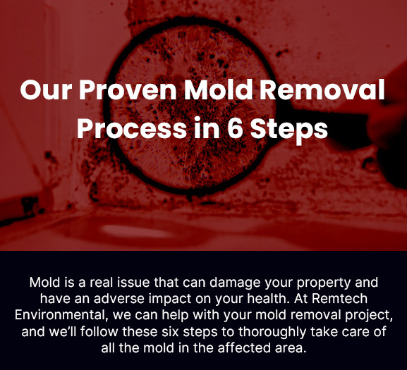 Our Proven Mold Removal Process in 6 Steps [infographic] | Remtech ...